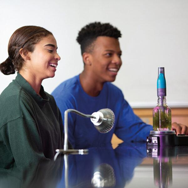 What Are the Best Light Sources For Photosynthesis? - Vernier