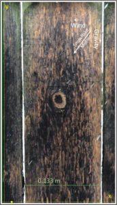 The Terminal Velocity of a Snowflake