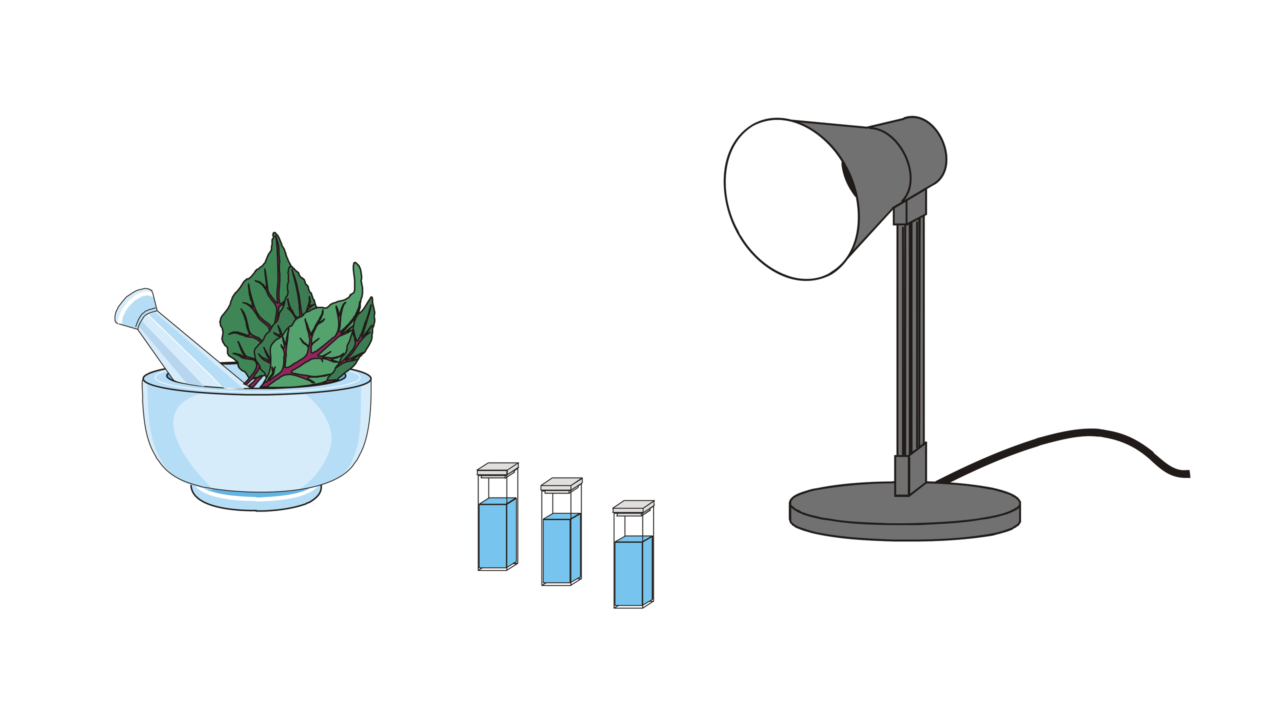 Photosynthesis > Experiment 4B from Advanced Biology with Vernier