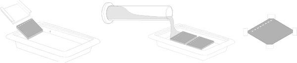 Forensic DNA Fingerprinting > Experiment 6B from Advanced Biology with ...