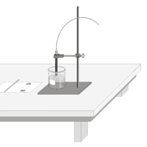 B2.1.3—Simple diffusion across membranes - Vernier