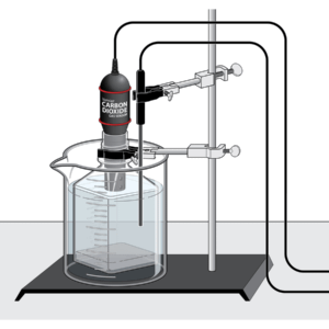 2.3 Carbohydrates and Lipids - Vernier