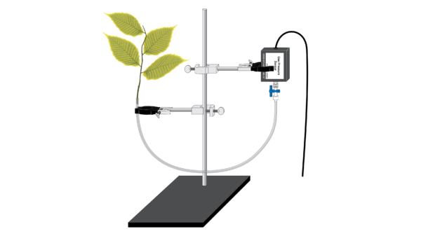 Transpiration of Plants > Experiment 13 from Investigating Biology ...