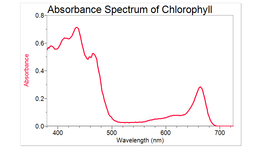 Plant Pigments > Experiment 14 from Investigating Biology through Inquiry