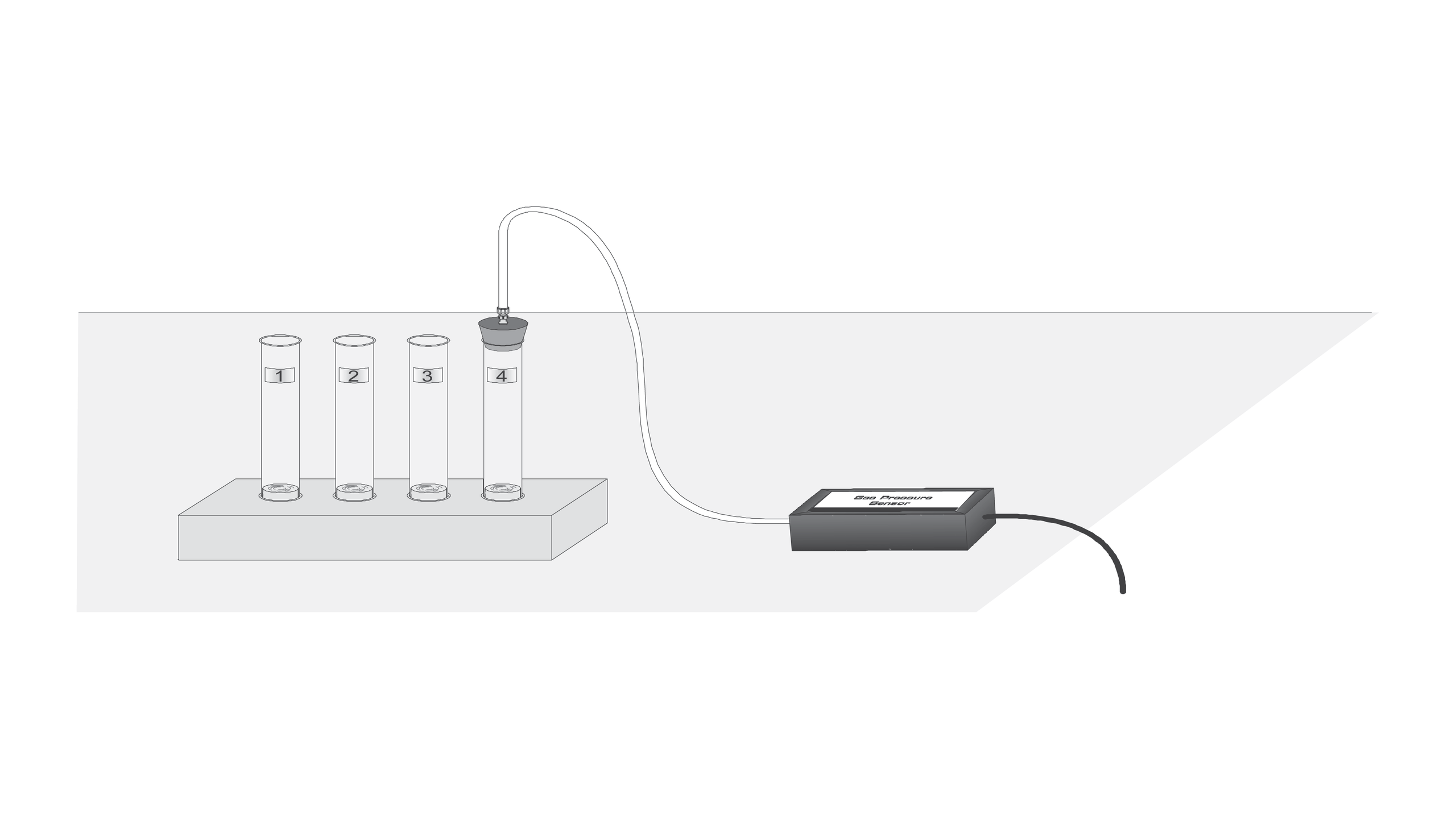 Enzyme Action: Testing Catalase Activity > Experiment 6B from Biology ...