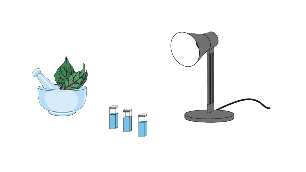 Photosynthesis > Experiment 7 from Biology with Vernier