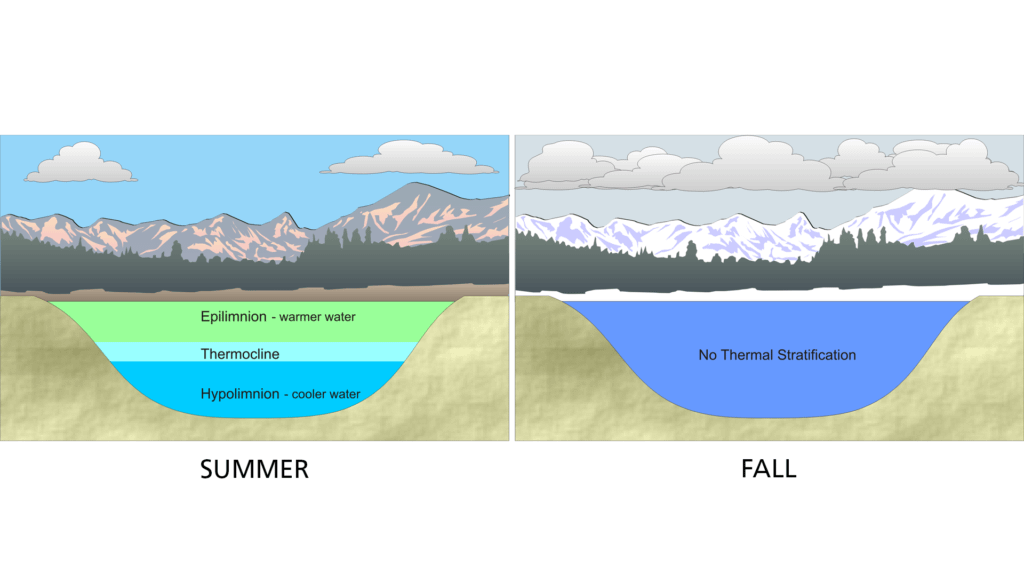 Physical Profile of a Lake > Experiment 21 from Biology with Vernier
