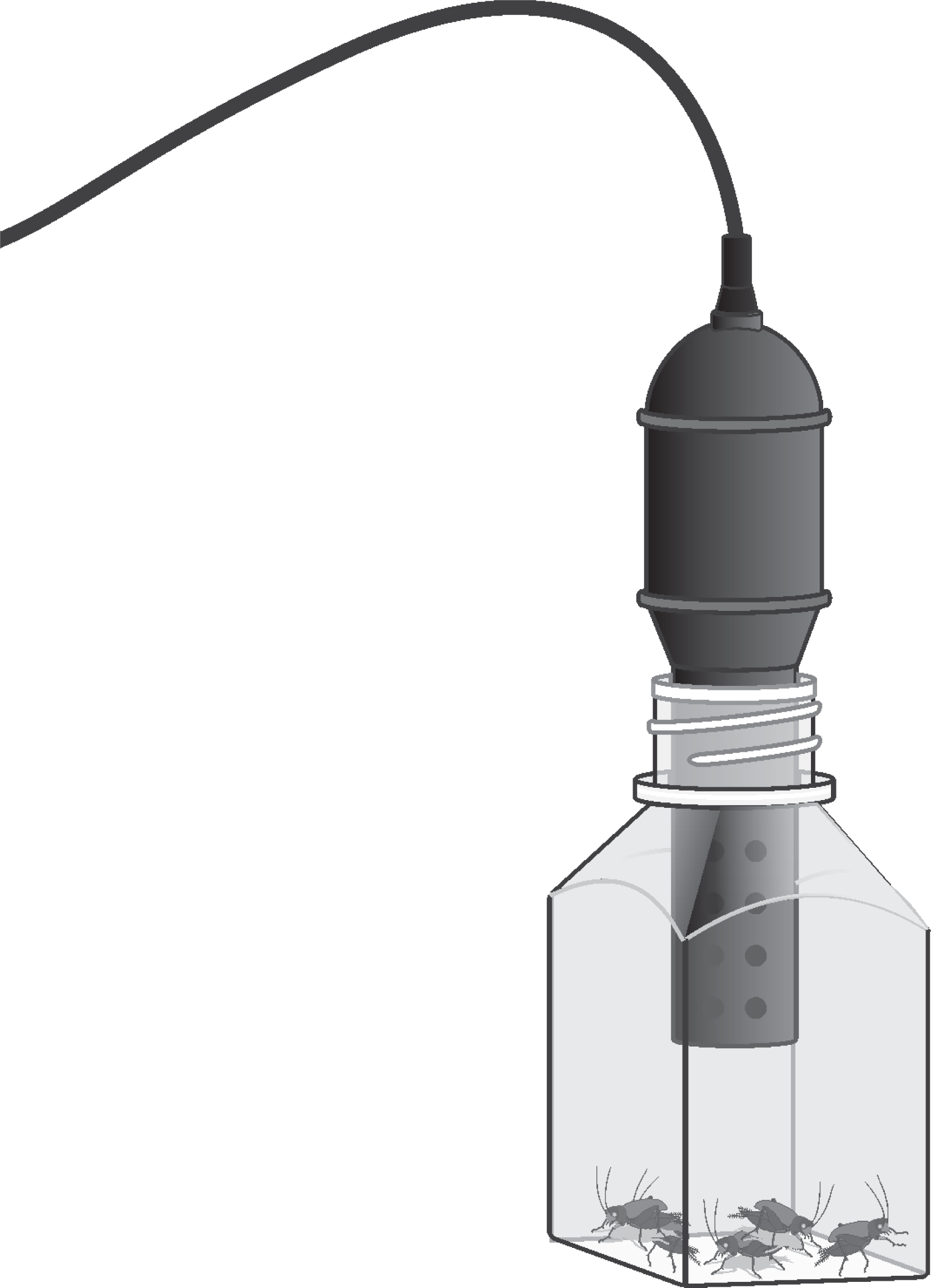 Effect of Temperature on Cold-Blooded Organisms > Experiment 23B from ...