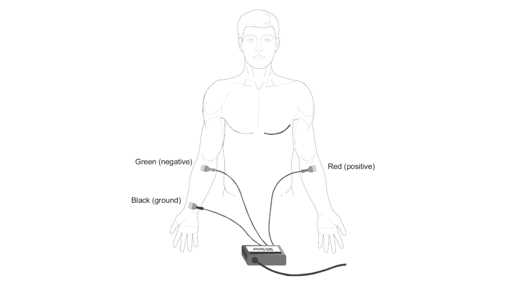 Monitoring EKG > Experiment 28 from Biology with Vernier