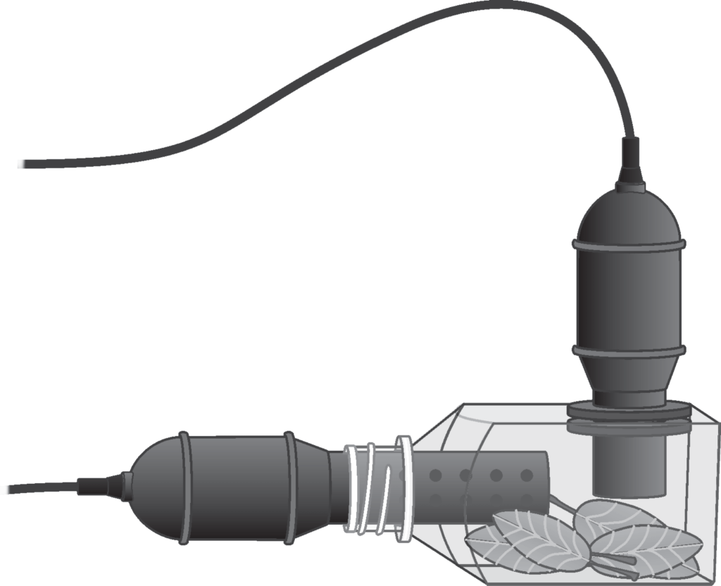 Photosynthesis and Respiration (CO 2 and O 2 ) > Experiment 31C from ...