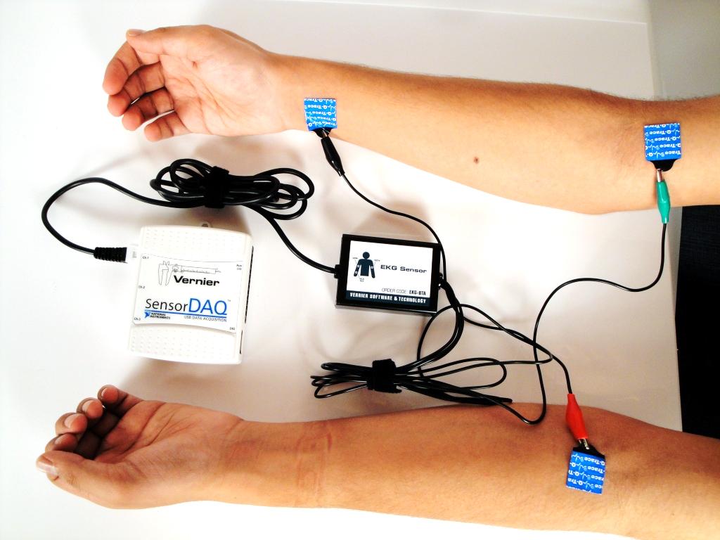 Analyzing the Heart with EKG > Experiment 8 from Engineering Projects ...