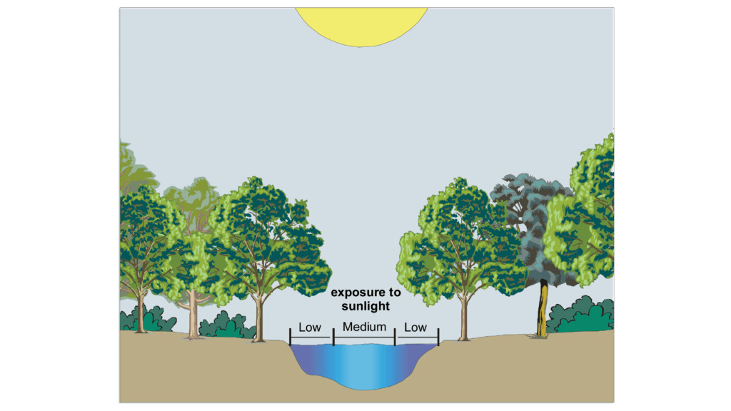 Water Quality: Temperature > Experiment 10 from Earth Science with Vernier