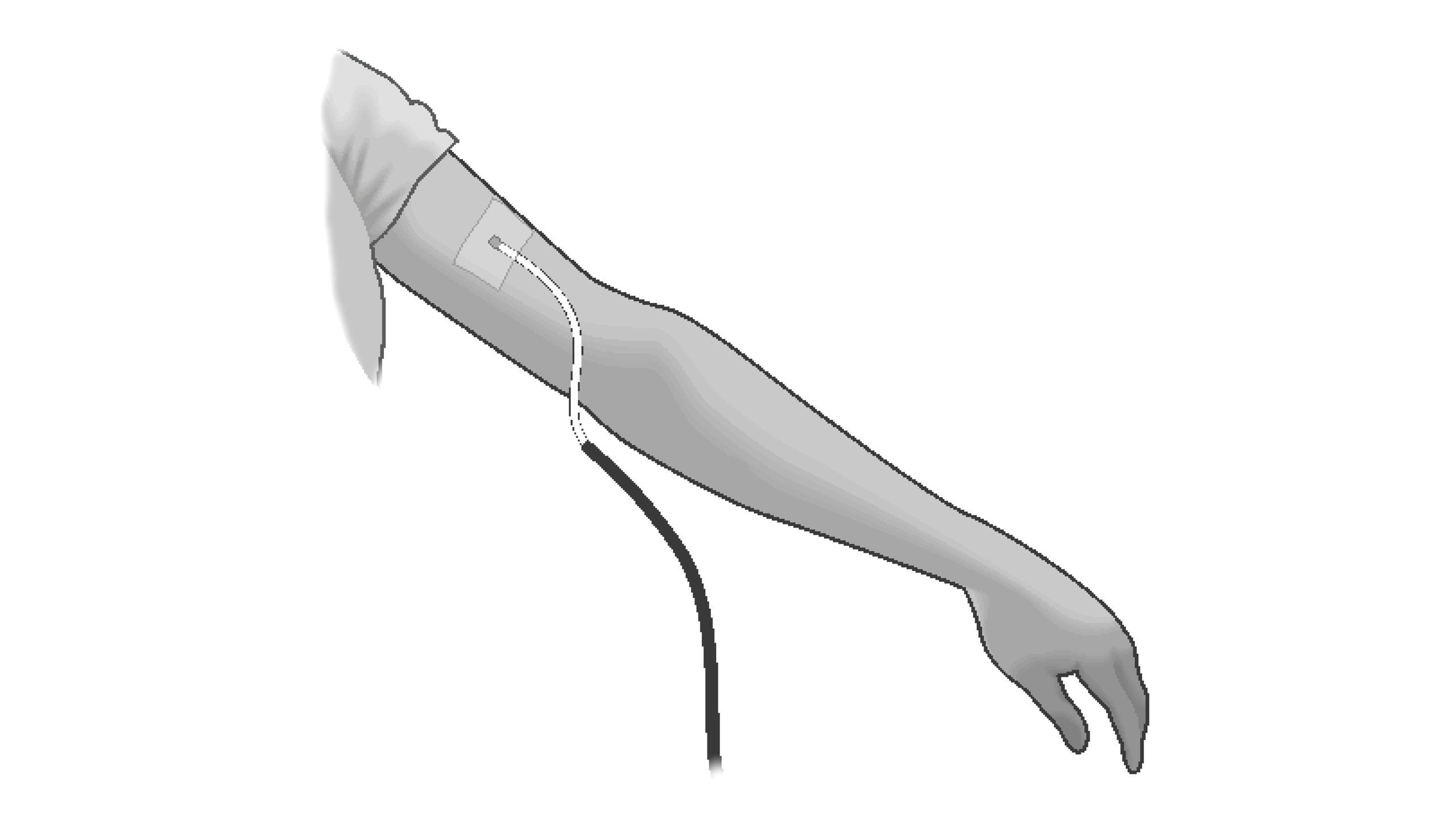 Effect of Vascularity on Skin Temperature Recovery > Experiment 2 from Human Physiology with Vernier