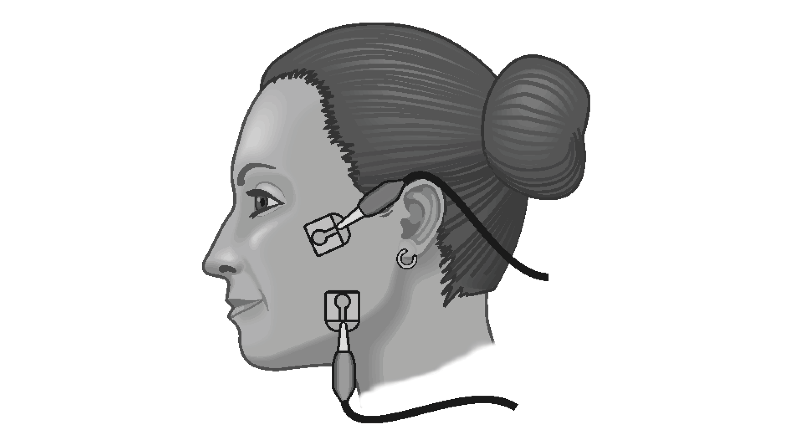 Introduction to EMG > Experiment 13 from Human Physiology with Vernier