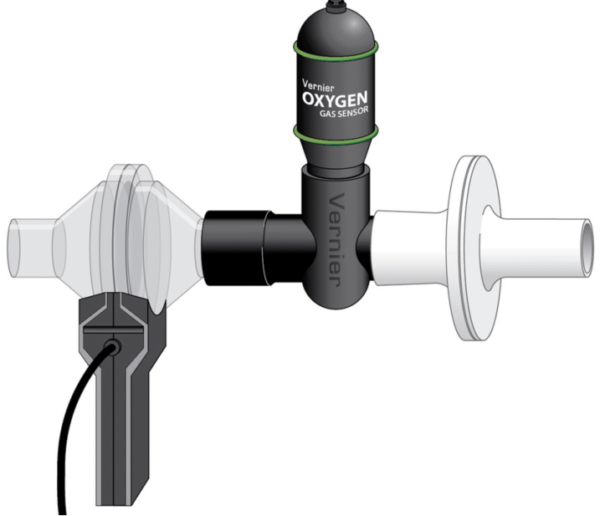 Oxygen and Aerobic Metabolism > Experiment 22 from Human Physiology ...