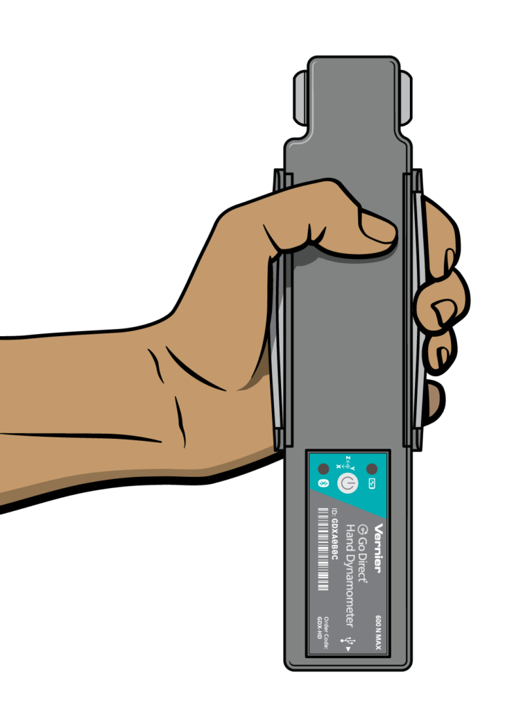 Limb Position and Grip Strength > Experiment 2 from Human Physiology ...