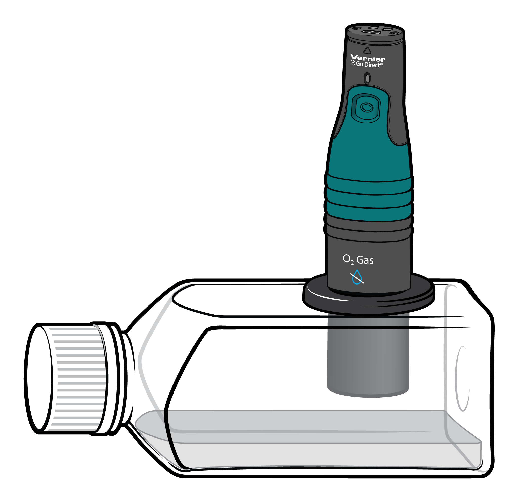 Effect of Exercise on Oxygen Usage > Experiment 13 from Human ...