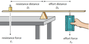 Levers as Machines > Experiment 2 from Exploring Motion and Force with ...