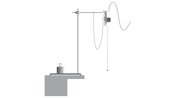 Bungee Jump Accelerations > Experiment 7 from Physics with Vernier