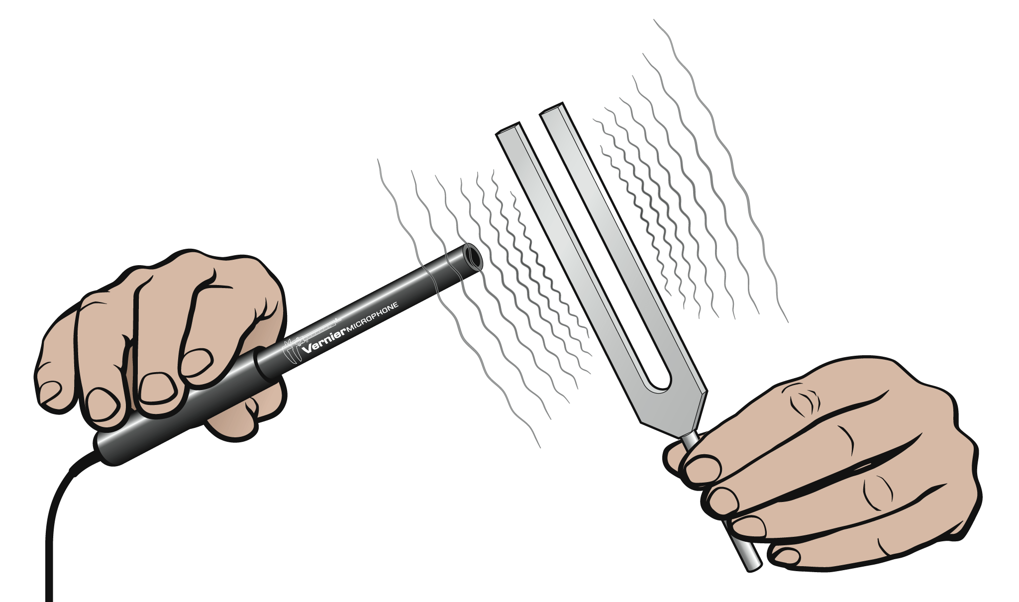 Tones, Vowels, and Telephones > Experiment 34 from Physics with Vernier