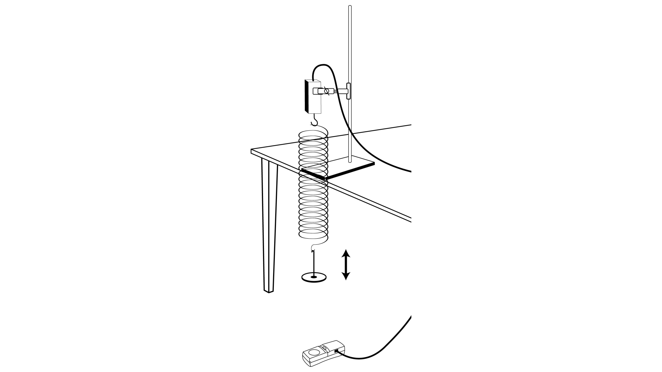 Spring Thing - Newton's Second Law > Experiment 7 from Real-World Math ...