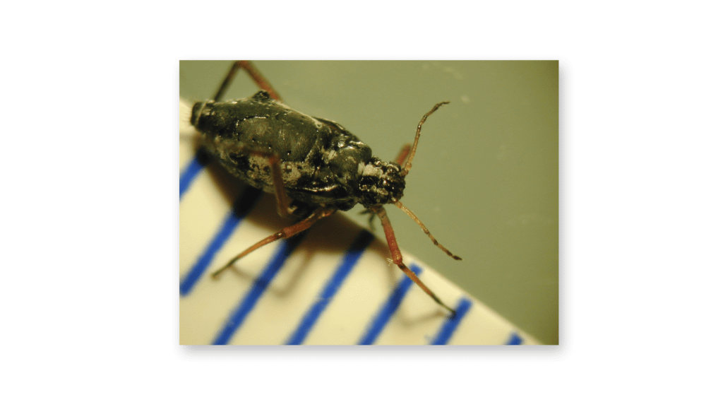 ProScope HR Digital Microscope Kits - Vernier