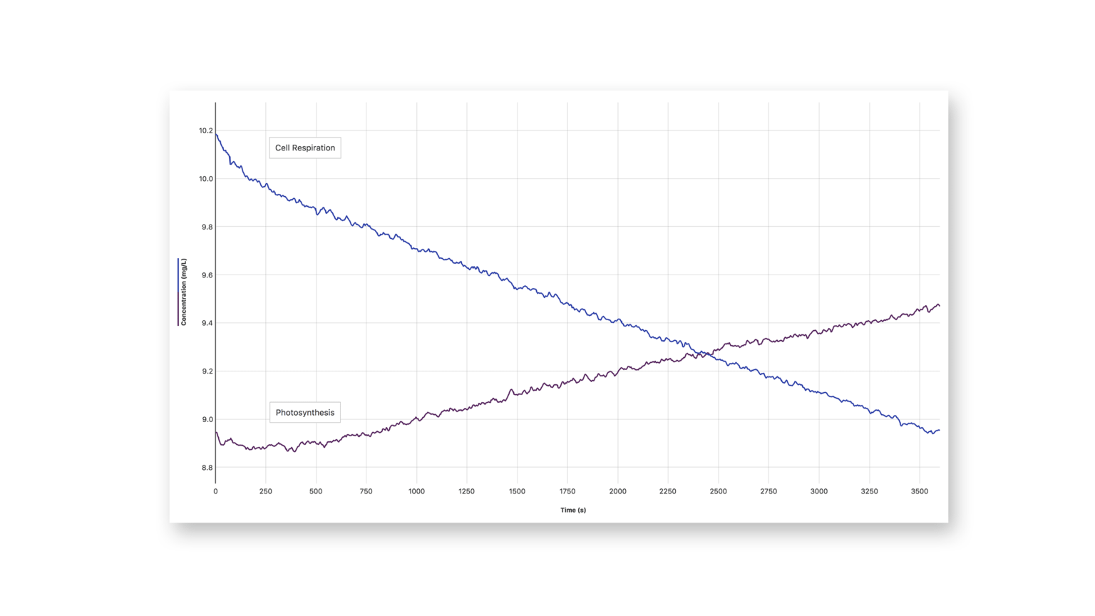 Go Direct® Optical Dissolved Oxygen Probe - Vernier