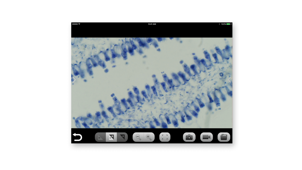ProScope 5MP Microscope Camera - Vernier
