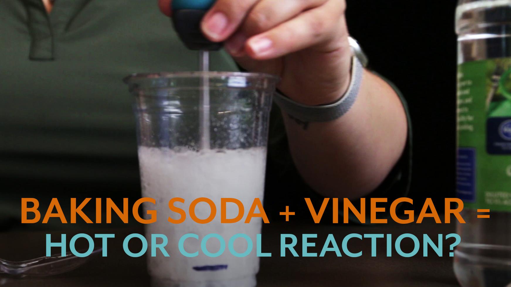 Vinegar and Baking Soda Reaction: Heat Up or Cool Down? - Vernier