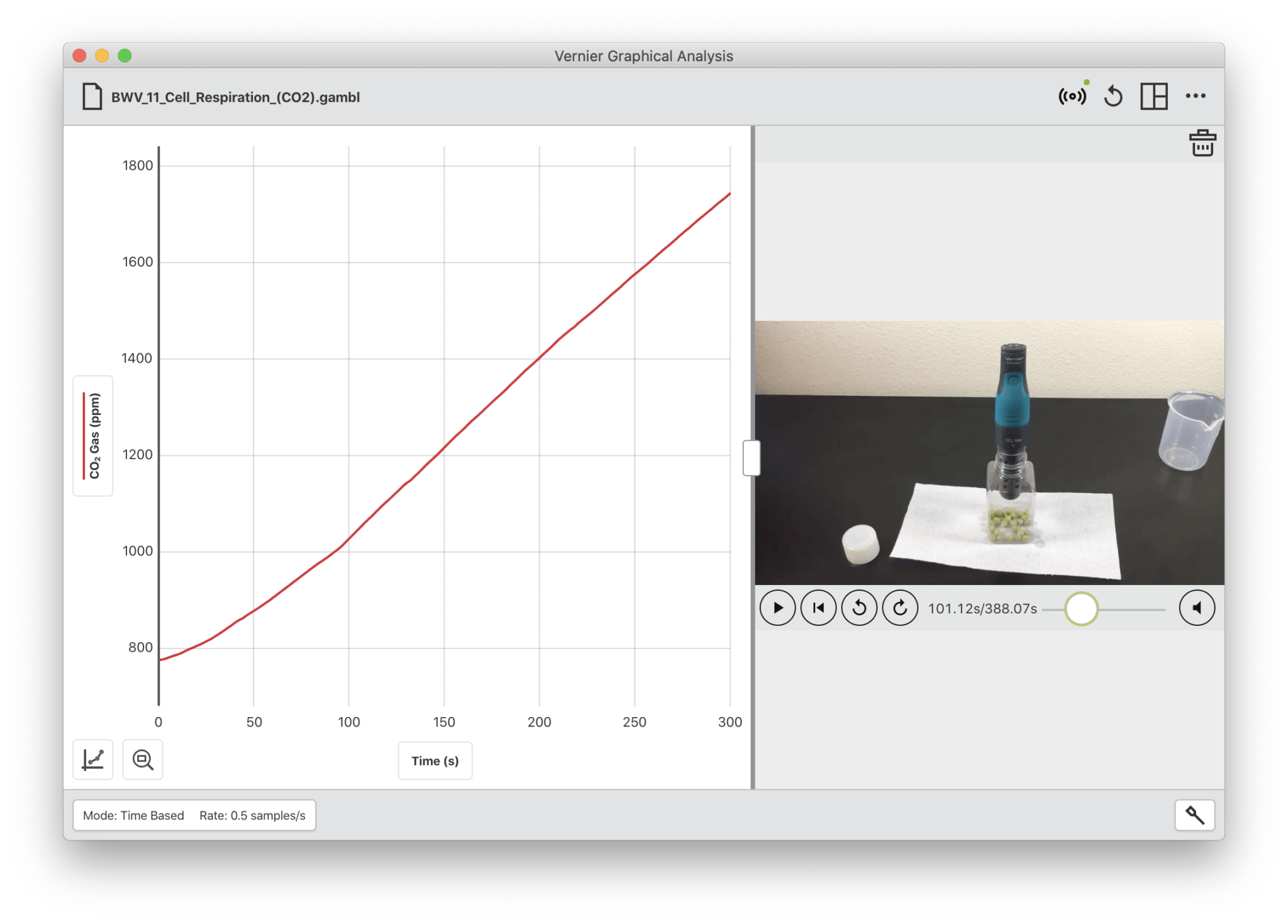 Three Ways to Enliven Remote Learning with Vernier Graphical Analysis Pro - Vernier