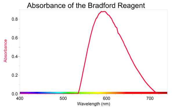 Use the SpectroVis Plus to Study Proteins