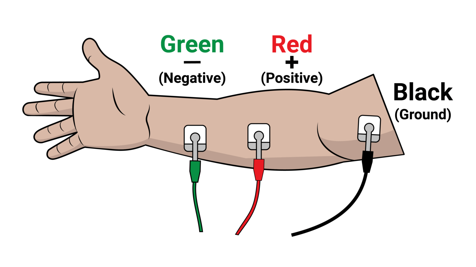 Answers to the Top Three Questions about the Go Direct® EKG Sensor ...