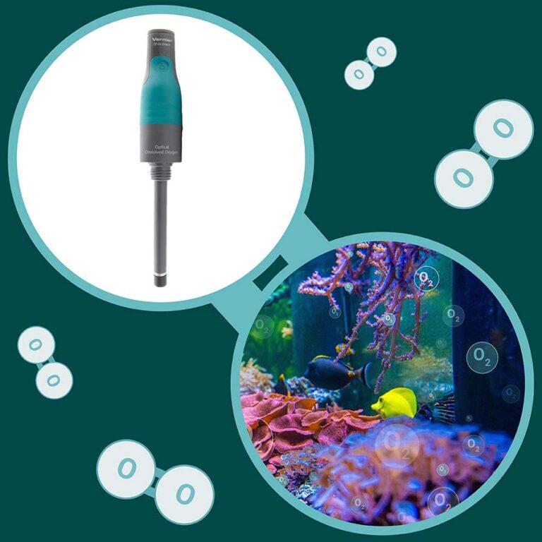 Investigating Aquatic Life: A Ready-to-Use Experiment on Dissolved ...