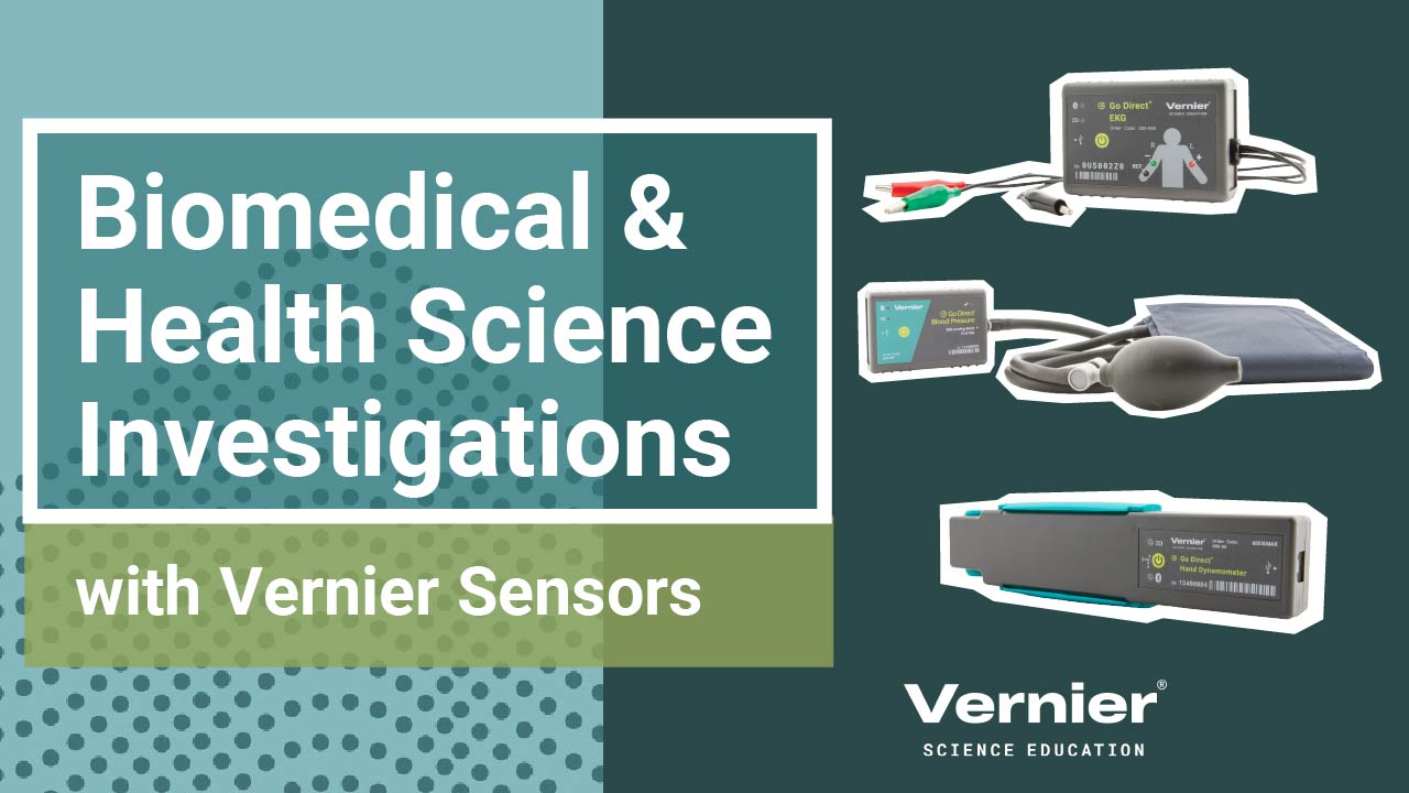 Biomedical Investigations: EKG and Blood Pressure Analysis with Vernier ...